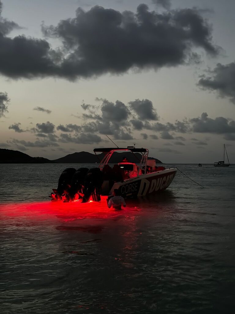 Product Gallery Underwater LED Boat Lights and Marine Lights:Abyss